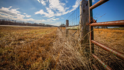 Partner | CBF Virginia